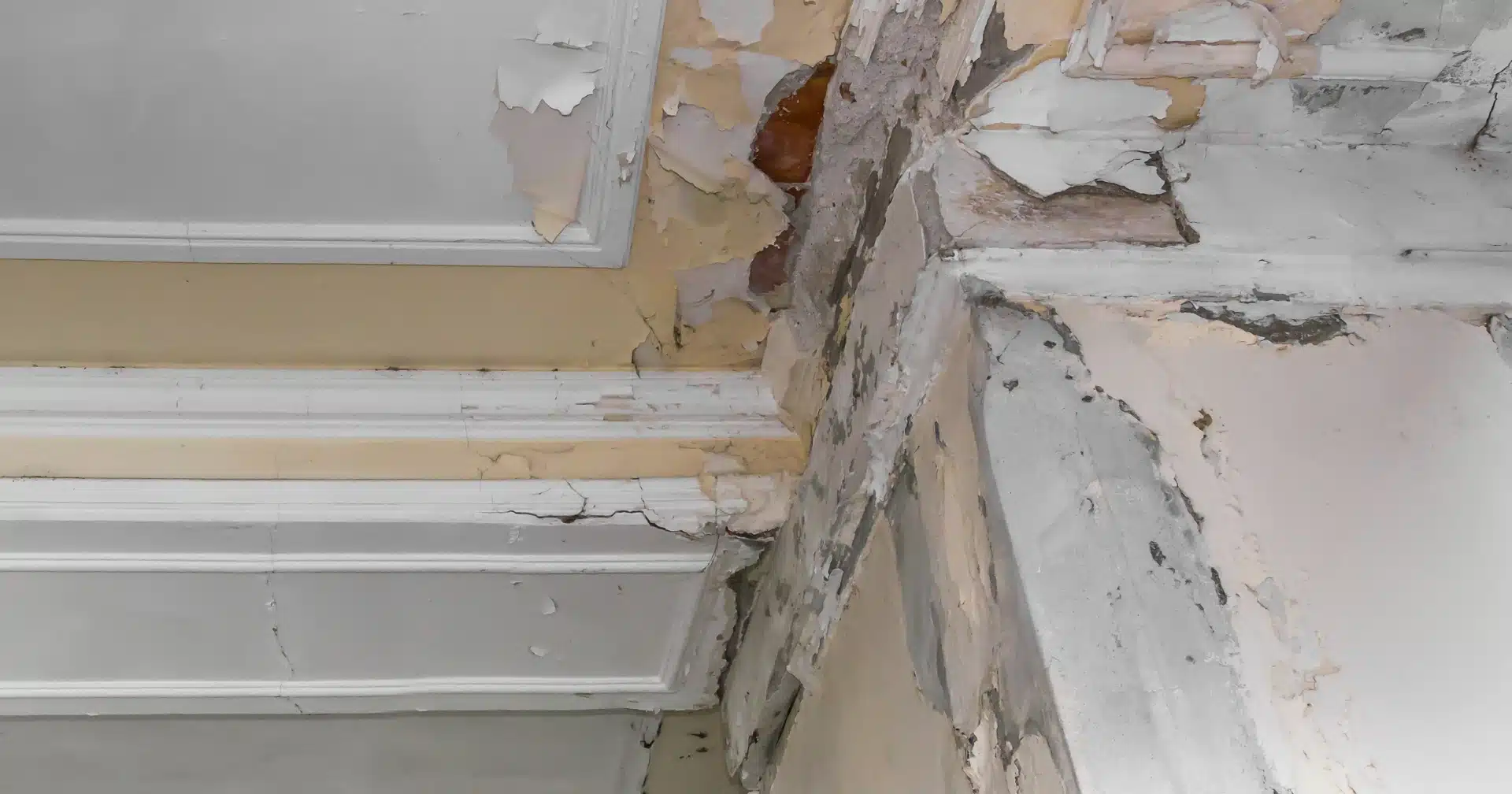 Peeling Walls. Toxic Air. Zero Accountability. How To Sue Your Landlord ...